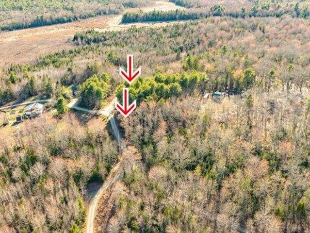 land Surry ME DS103036415