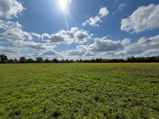 Land Surrey Great London LS98718010