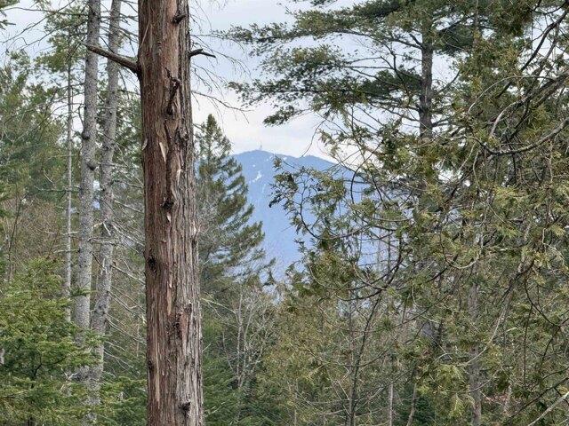 land Sutton VT DLS102561710
