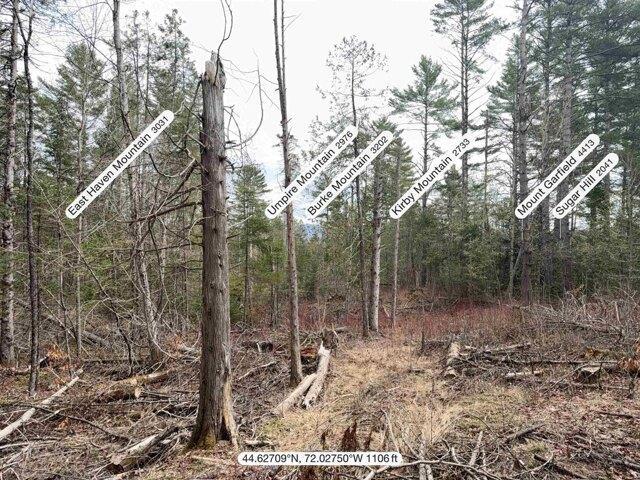 land Sutton VT ES104329564