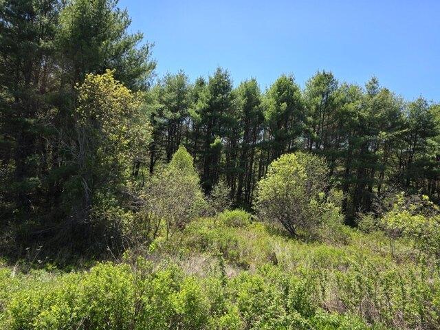land Swanville ME DS103497223