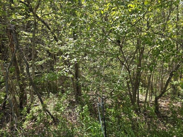 land Swanville ME ES104849266