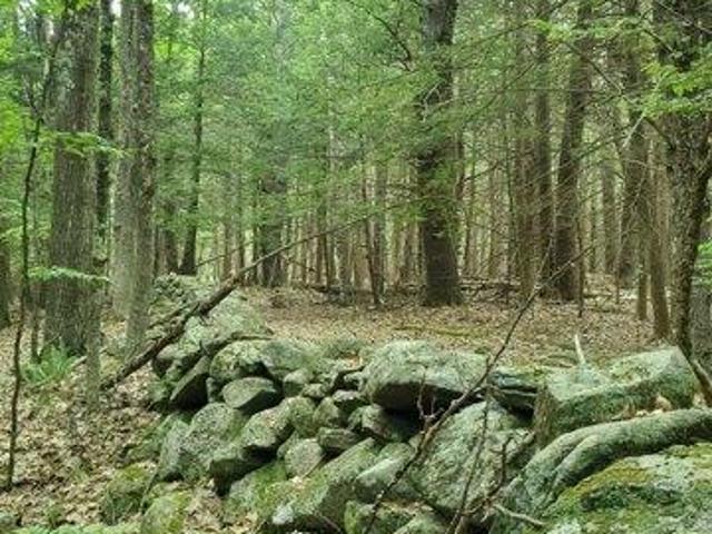 land Swanzey NH DS103247723