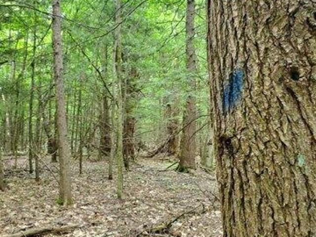 land Swanzey NH ES105202374