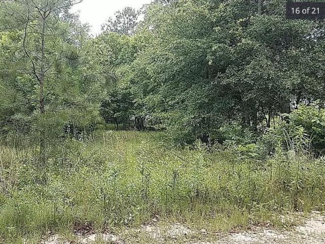 land Sylvester GA DLS101011850