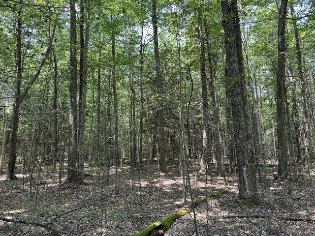 land Saint Marys PA DS103623700
