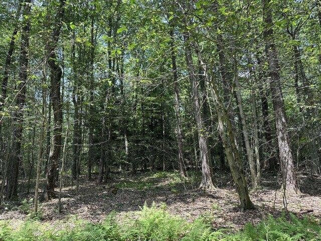 land Saint Marys PA ES103623700