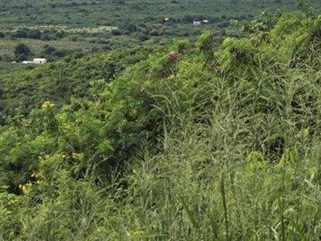 land Saint Croix IN DS102889778
