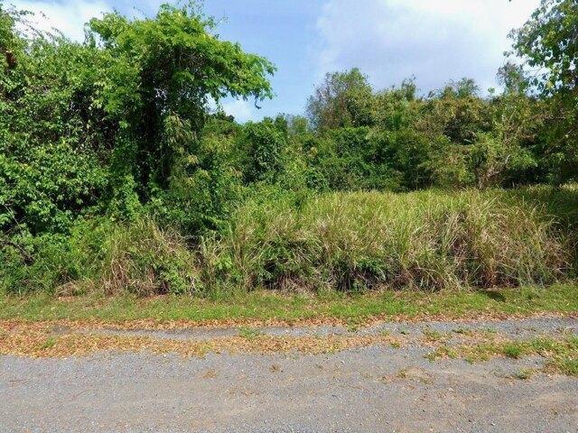 land Saint Croix IN DS103034590