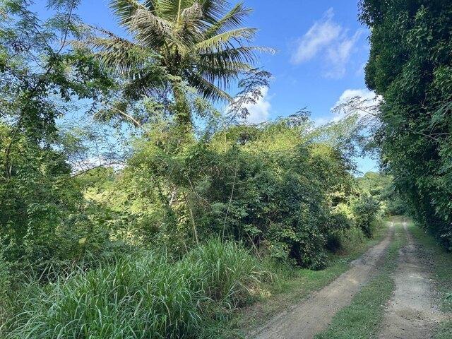 land Saint Croix IN DS103620534