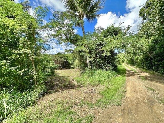 land Saint Croix IN ES103160476