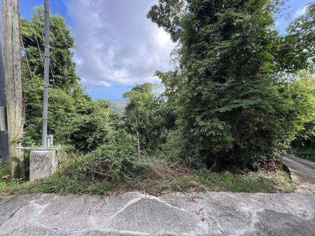land Saint John IN DLS103033753
