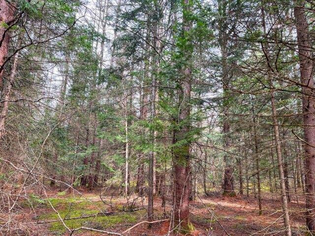 land Saint Regis Falls NY DLS91499270
