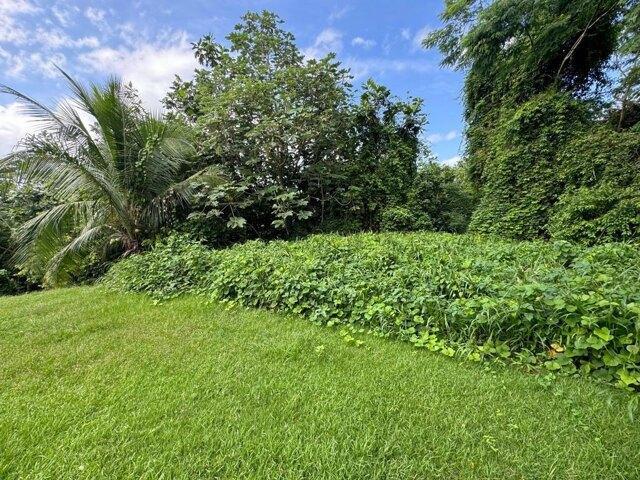 land San Juan TX DLS102312488