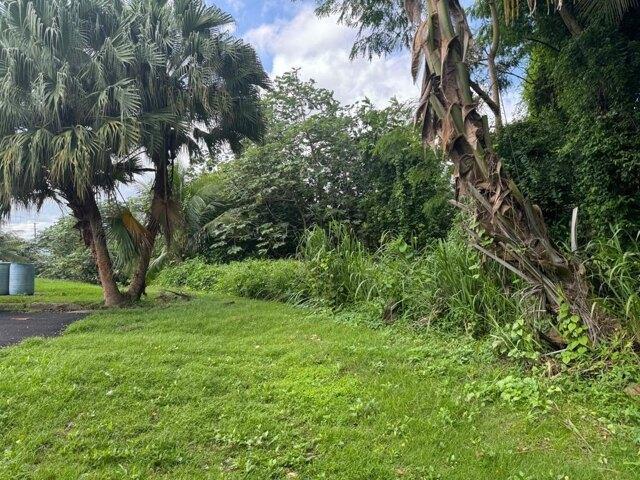 land San Juan TX ES105041775