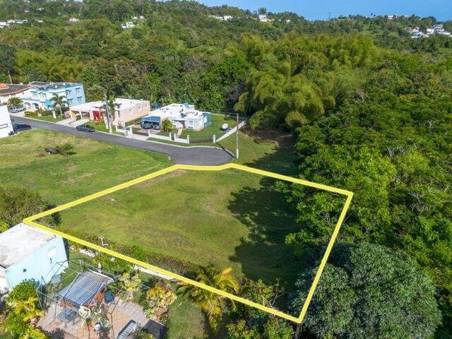land San Lorenzo CA DLS101629247