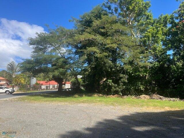 land San Lorenzo CA DS103848619