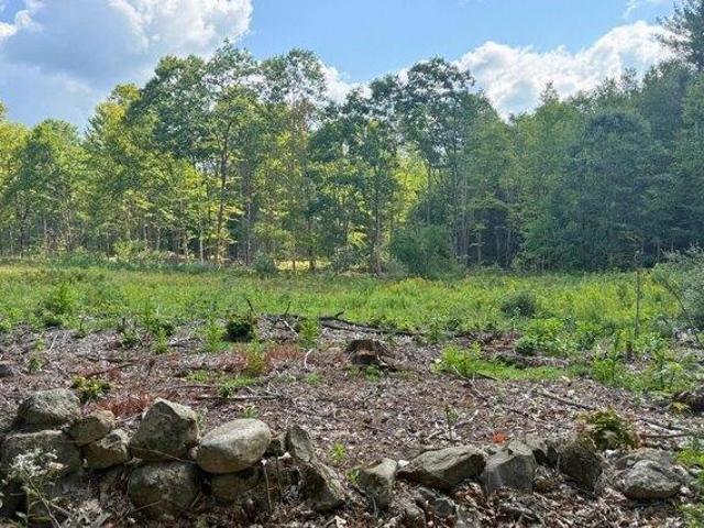 land Sanbornton NH ES105123625