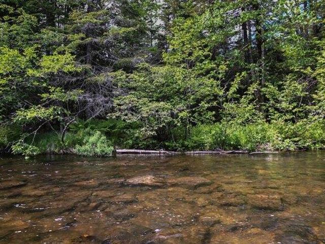land Sandy River Plt ME DLS102778998