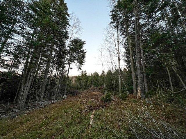 land Sandy River Plt ME DS102028722
