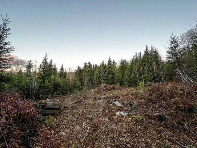 land Sandy River Plt ME ES103440659