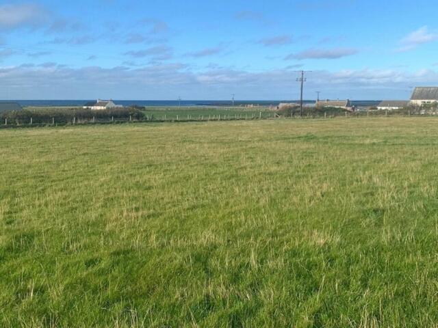 Land Sanday Sanday 101100255