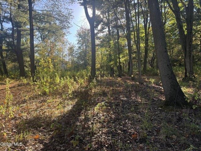 land Schenectady NY ES103626321