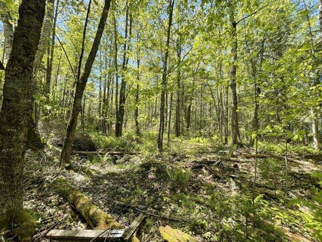 land Searsmont ME DLS102799211