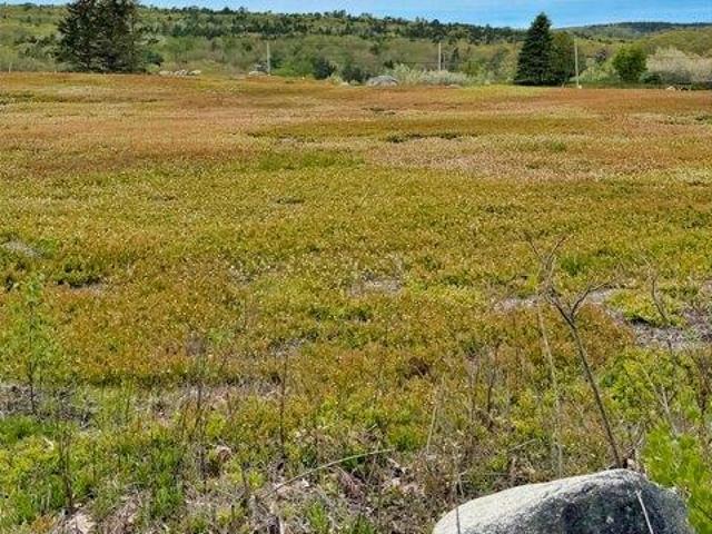 land Sedgwick ME ES104352441