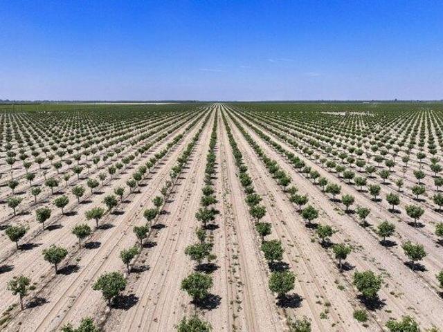 land Selma CA DS90898894