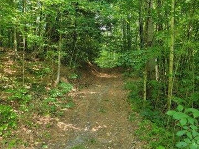 land Shaftsbury VT DS104410866