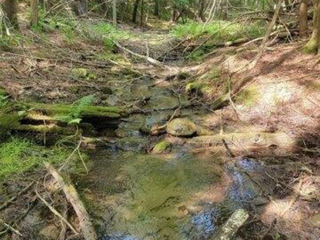 land Shaftsbury VT ES105513100