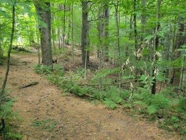 land Shaftsbury VT ES105206908