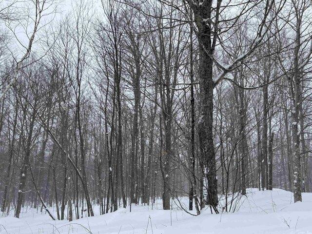 land Sheffield VT DS103097631