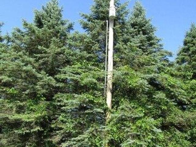 land Sheldon VT ES105192404
