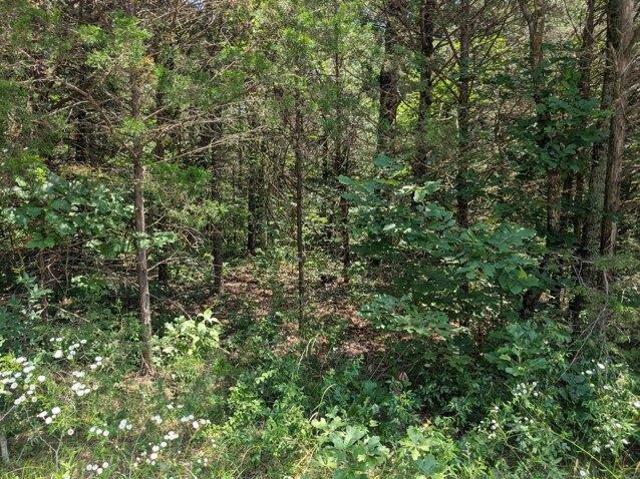 land Shell Knob MO DLS93334951