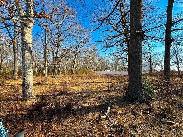 land Shirley NY ES105274342