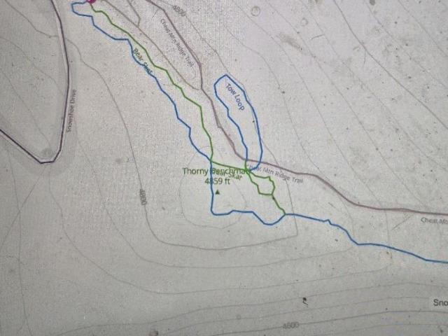 land Snowshoe WV ES104640795