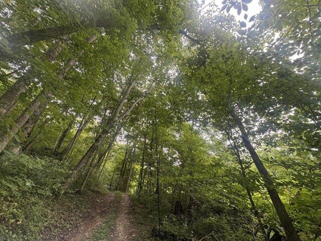 land Somerset KY DS92844322