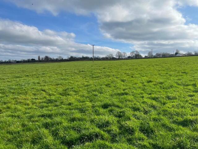 Land Somerset Somerset 101892331