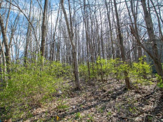 land South Bend IN DLS101252451