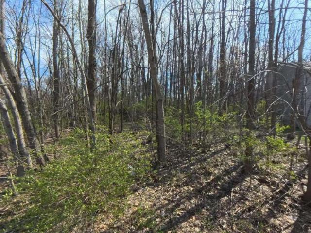 land South Bend IN ES101252451