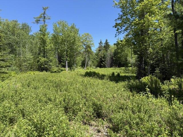 land South Thomaston ME DS103444537