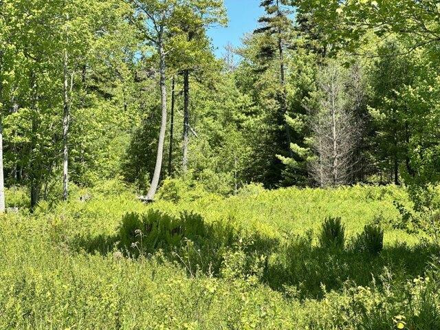 land South Thomaston ME ES104236196
