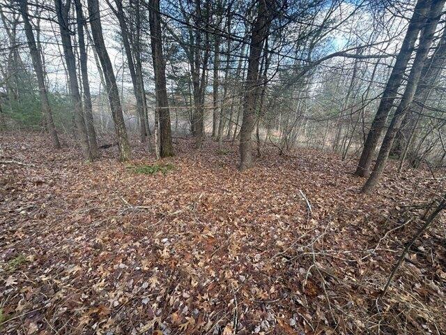 land Southwick MA DLS102592673