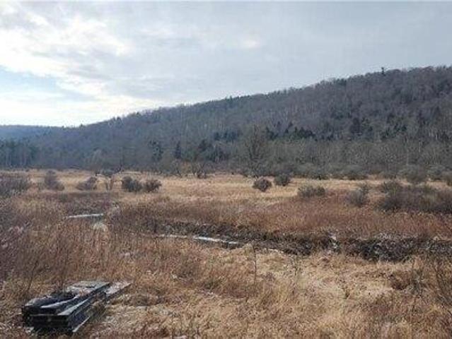 land Spencer NY DS103605093
