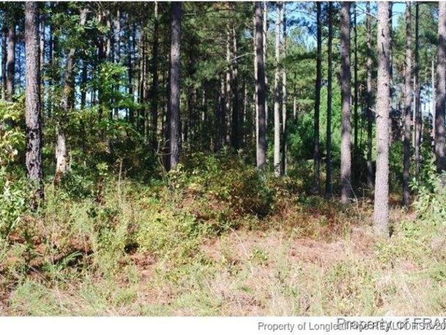 land Spring Lake NC ES104909480