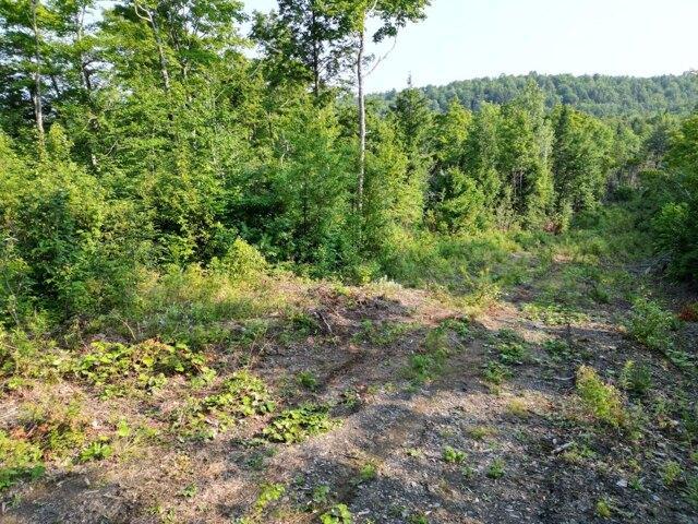 land Springfield ME DS102256163