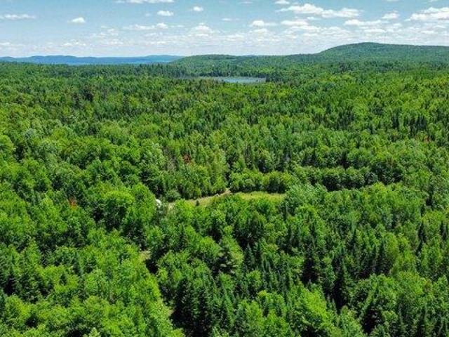 land Springfield ME DS103969339
