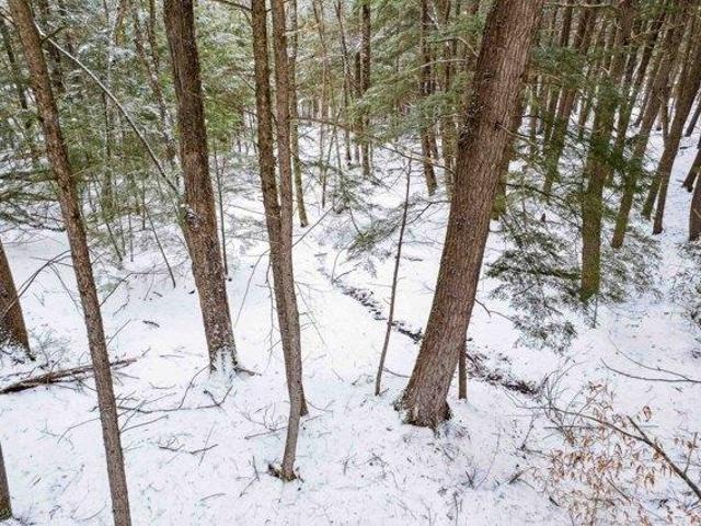 land Tunbridge VT DS102283632